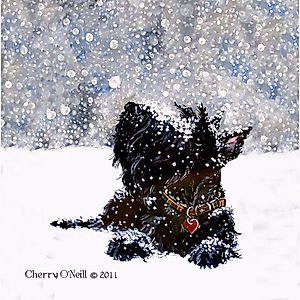 CafePress Scottish Terrier Christmas Greeting Card (20-pack), Note Card with Blank Inside, Birthday Card Glossy