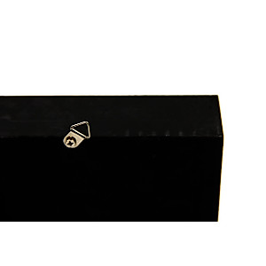 TAXIBUGS Real 5 Horned Beetle/Eupatorus Gracilicornis Flying Form Taxidermy in Transparent Box Display (Black Wooden Box)