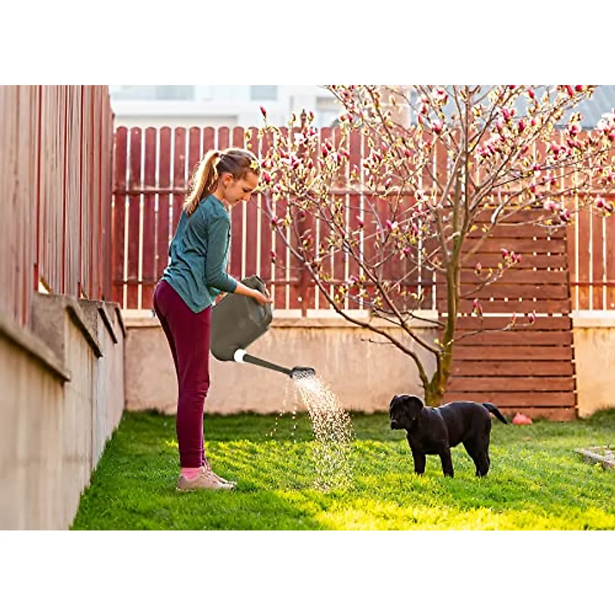 1.5 Gallon Watering Can for Outdoor & Indoor Plants, Large Garden Watering Pot with Lightweight and 5.5L Capacity, Plastic Watering Can with Long Spout and Metal Removable Sprinkler Head, Grey