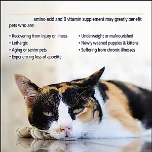 Liquid Vitamin B-12 Complex Drops for Dogs and Cats - Nutritionally Balanced Vet Formulated - Energy, Appetite, Mood - Recovery - Helps Cognition and Brain, Joints, Skin, Digestion