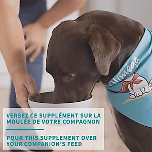 Camelina Oil for Dogs & Cats, 500mL by Olimega Farm | High in Omega-3 & Vitamin E | Support for Healthy Joints, Coat & Skin | Alternative to Salmon Oil for Dogs | Made in Canada | Non-GMO