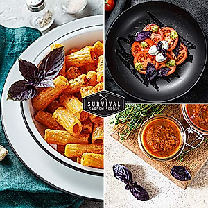 Survival Garden Seeds - Opal Basil Seed for Planting - Packet with Instructions to Plant and Grow Delicious & Unique Purple Basil Herb Plants in Your Home Vegetable Garden - Non-GMO Heirloom Variety