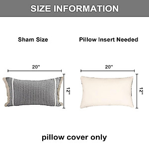 OJIA Modern Throw Pillow Cover with Tassels, Decorative Liana Fringe Accent Cushion Case, Farmhouse Woven Pillowcase for Sofa Chair Couch Bed Decor (Lumbar 12 x 20 Inches, Grey)