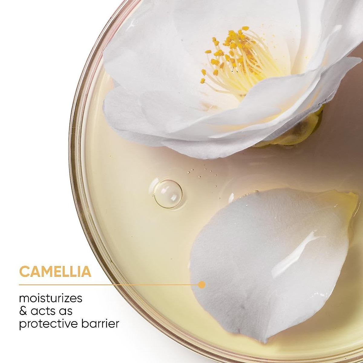 Biolage Smooth Proof Shampoo | Cleanses, Smooths & Controls Frizz | For Frizzy Hair | Paraben & Silicone-Free | Vegan​ | 33.8 Fl. Oz