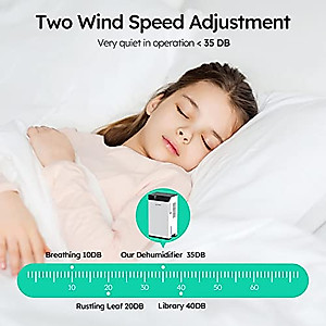 Dehumidifiers for Home - Kitette Dual Semiconductor Dehumidifier for Bathroom Basement Up to 540 sq.ft with 60oz Watertank, Dehumidifier with 1.5m Drain Hose, Auto Defrost and Intelligent Humidity Control