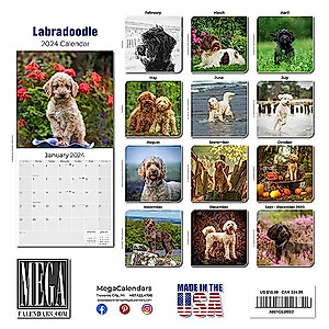 2023 2024 Labradoodle Calendar - Dog Breed Monthly Wall Calendar - 12 x 24 Open - Thick No-Bleed Paper - Giftable - Academic Teacher's Planner Calendar Organizing & Planning - Made in USA