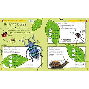 My Encyclopedia of Very Important Things: For Little Learners Who Want to Know Everything (My Very Important Encyclopedias)
