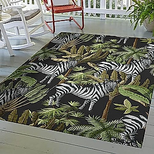Dalyn Rugs Indoor/Outdoor Tropics TC13 Black Washable 8' x 10' Rug