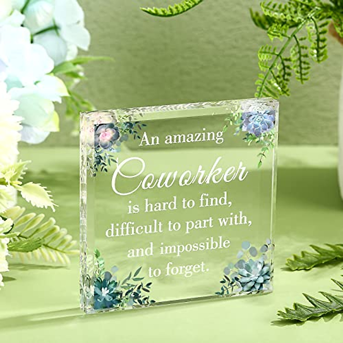 Yulejo Going Away Gifts for Coworkers Women Retirement Plaque Goodbye Best Boss Colleague Acrylic Coworker Leaving Keepsake Paperweight Men Healthcare Worker(Greenery)