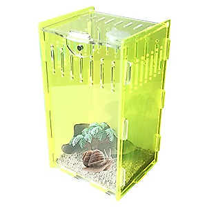 Reptile Terrarium,Vertical Acrylic Tarantula Enclosure Breeding Tank,Aquarium Breeding Tank 5" x 4" x 8"for Invertebrates and Small Tree Dwelling Reptiles,Mantis, Cricket,Snails,Frog-Fluorescent Green