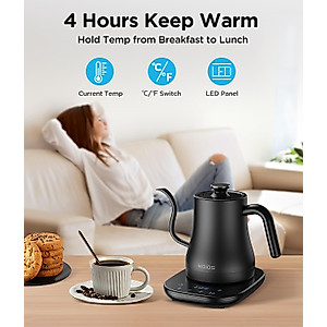 Gooseneck Electric Kettle with Temperature Control, 27oz/0.8L Fast Heat Electric Kettle for Pour Over Coffee/Tea, Auto Shut Off & Boil-Dry Protection, 4hrs Keep Warm, Stainless Steel Inner,Matte Black