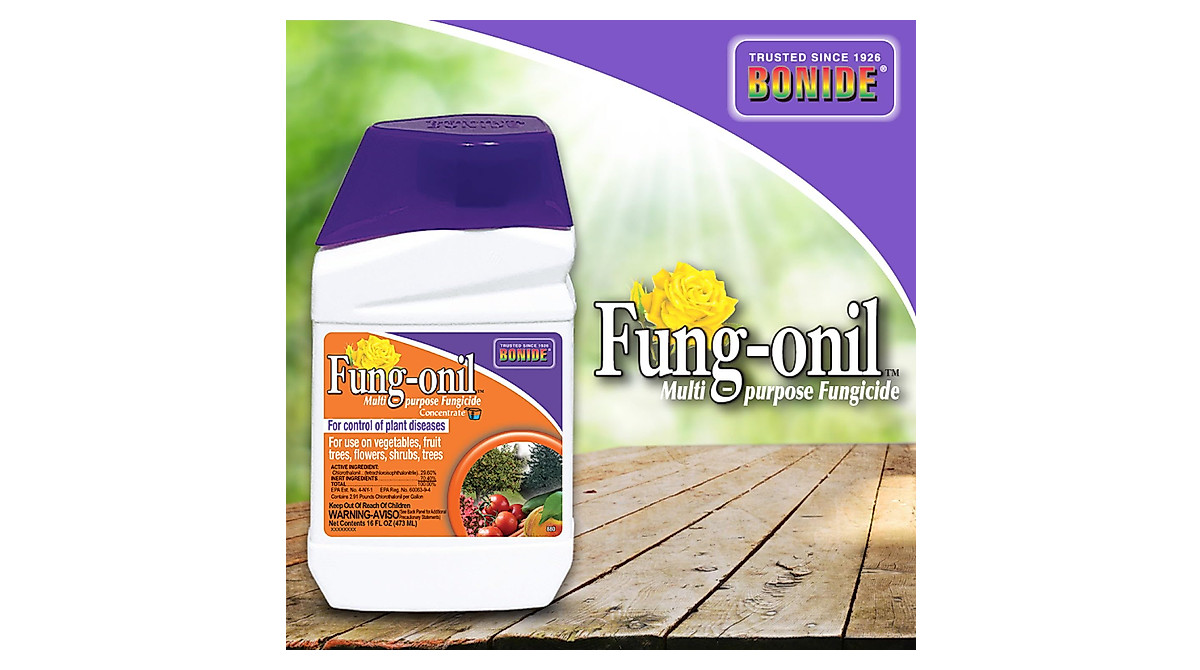 Bonide Fung-onil: Effective Plant Fungicide for Garden Care