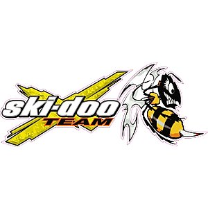 Team Ski-Doo Killer Bee Decal 12"