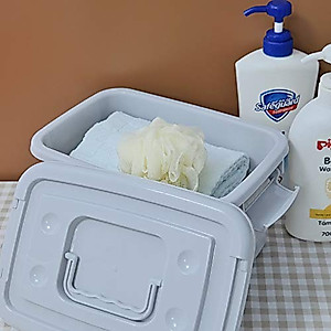 Readsky 6-Pack 5 L Plastic Storage Bin with Lid and Handle, Grey