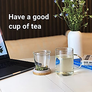 emoi Glass Tea Cup with Infuser and Lid, 15oz/450ml Tea Mug with Tea Steeper and Bamboo Lid, Easy to Use, Ideal for Tea Lover to Make a Great Cup of Tea at Home or Office