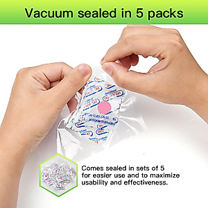 400cc Oxygen Absorbers for Food Storage, 100 Count (20x Packs of 5), O2 Absorber with Indicator for Long Term Food Storage Vacuum Mylar Bags Survival Canning Dehydrated Airtight Container Freeze Dryer