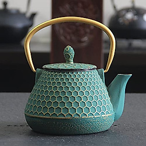 Cast Iron Tea Kettle, Japanese Tetsubin Teapot Coated with Enameled Interior, Durable Cast Iron Teapot with Stainless Steel Infuser for Stovetop Safe(1000ml/34oz)
