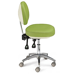 Standard Dental Mobile Chair Adjustable Doctor's Stool Leather Dentist Chair, Color Can Customizable (Color : Green)