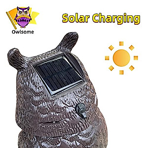 Owlsome Solar Owl with Flashing Eyes, Rotating Head, Hoot Sound, Motion Detector and Silent Mode, Plastic Owl Garden Sculpture, Garden Decoration