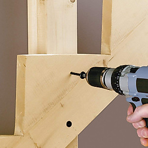 FastenMaster FMHLGM006-12 HeadLOK Heavy-Duty Flathead Fastener, 6 Inches, 12-Count,Black