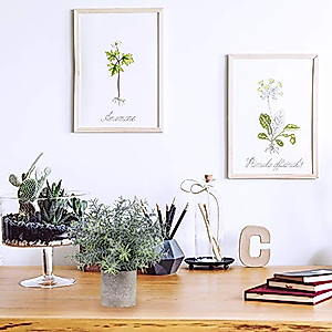 Winlyn Set of 3 Mini Potted Artificial Eucalyptus Plants Plastic Fake Green Rosemary Plant for Home Decor Office Desk Shower Room Decoration