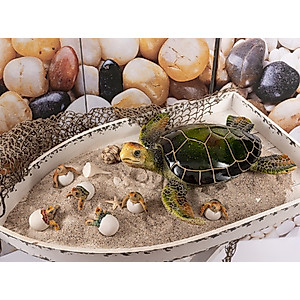 Corner Merchant Sea Turtle Statue Garden Decor Tabletop Display and Wall Hanging Sea Turtle Sculpture Measures 16 in x 15 in (Green)
