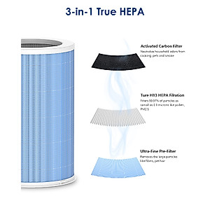 FIWOTTTDA Air Purifier Replacement Filter, 4-in-1 True HEPA for Air Purify Breathe Nature 1
