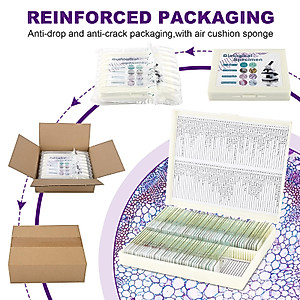 100 Pcs Microscope Slides with Specimens for Kids,Prepared Microscope Slides for Kids,Prepared Slides for Microscope,Microscope with Slides for Student Adults, Including Insect, Animal, Human Tissue