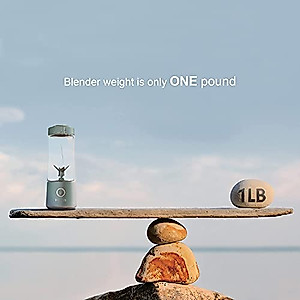 Portable Blender USB Rechargeable, Hotsch Personal Size Blender for Shakes and Smoothies, Strong Cutting Power with Six Blades, 13.5 Oz Mini Juicer Cup for Sports, Travel and Outdoors