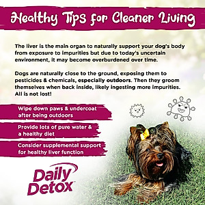 Vital Planet - Daily Detox for Dogs with MSM, Milk Thistle, Spirulina, and Turmeric, Supports The Immune System and Natural Cleansing of The Liver - 60 Beef Flavored Chewable Tablets