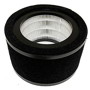 Nispira Replacement Filter L True HEPA + Activated Carbon Pre Filter Compatible with GermGuardian Air Purifier AC4200W FLT4200, 1 Pack