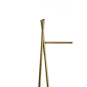 British Style Sturdy Clothes Rack Garment Rack Metal Clothes Rack,Industrial Clothing Rack,Heavy Duty Clothes Rack,Portable Clothing Rack Hanging Clothes Rack for Small Spaces and Rooms Gold,Black,White (Gold)