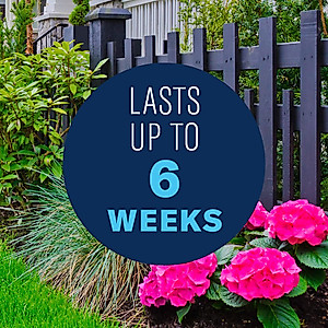 BIOADVANCED 043929293566 Bayer Advanced 701110A All in One Rose and Flower Care Granules, 4-Pou, 4-Pound, Assorted