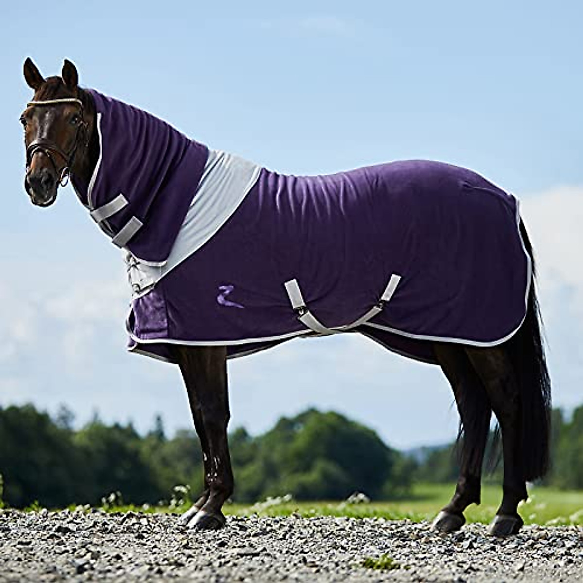 HORZE Turin Combo Fleece Blanket - Purple - 81 in