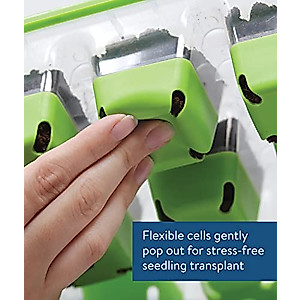 Burpee SuperSeed Seed Starting Tray | 16 XL Cell | Reusable & Dishwasher Safe | for Starting Vegetable Seeds, Flower Seeds & Herb Seeds | Indoor Grow Kit for Deep-Rooted Seedlings