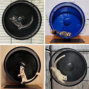 Silent Runner Pro | Sugar Glider Exercise Wheel (Black with Attachment)