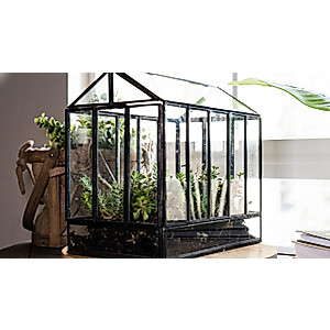 Urban Born Large Indoor Greenhouse Shape Terrarium — 10" x 6" x 10" (Black)