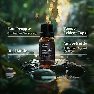 Essential Oils Set - Top 6 Organic Blends for Diffusers, Home Care, Candle Making, Fragrance, Aromatherapy, Humidifiers, Gifts - Peppermint, Tea Tree, Lavender, Eucalyptus, Lemongrass, Orange (10mL)