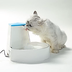 Pet Fountain, 84oz/2.5L Dog Fountain Automatic Water Dispenser for Dogs & Cats