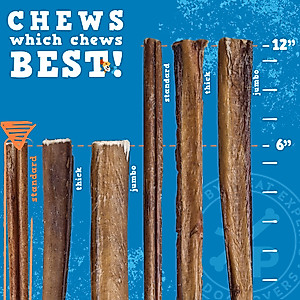 Jack&Pup 6" Bully Sticks for Dogs | Premium Odor Free Bully Sticks for Large Dogs | All Natural Beef Pizzle Sticks (Standard, 7 Pack)