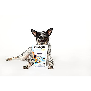 Solid Gold NutrientBoost Meal Topper for Dogs - Plasma Infused Dog Food Topper & Treats - Gut Health & Immune System Support - Grain Free Additive with Vitamins, Minerals, Protein & Amino Acids - 1 Lb