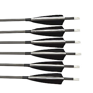 ZSHJGJR 34 Inch Carbon Arrows Archery Hunting Target Arrow Spine 500 with 4" Real Feathers 100 Grain Points Arrow Quiver Tube 12 Pieces (12 Pieces Arrows + Quiver)