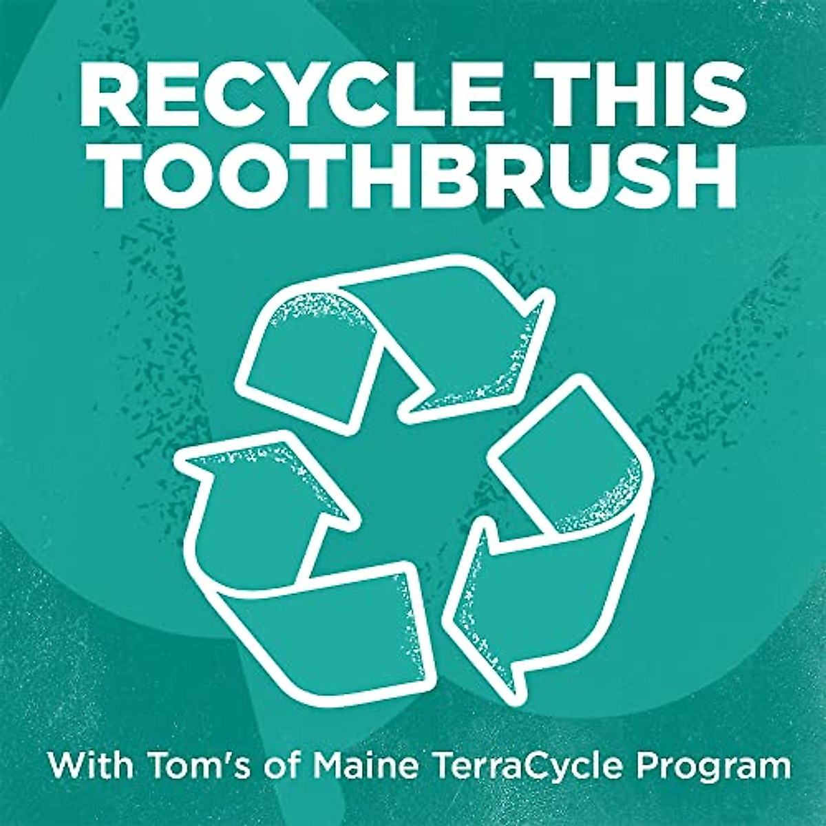 Tom's of Maine Whole Care Toothbrush, Soft, 4-Pack