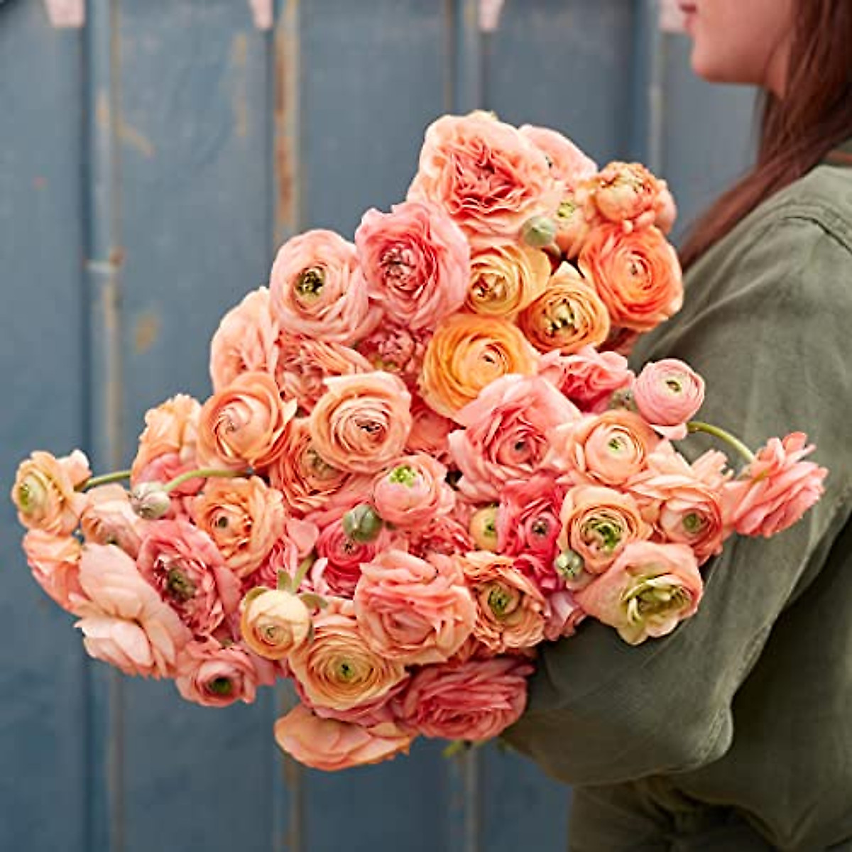 Ranunculus Bulbs - Amandine Salmon - 40 Bulbs - Pink Flower Bulbs, Corm Attracts Bees, Attracts Pollinators, Easy to Grow & Maintain, Fragrant, Container Garden