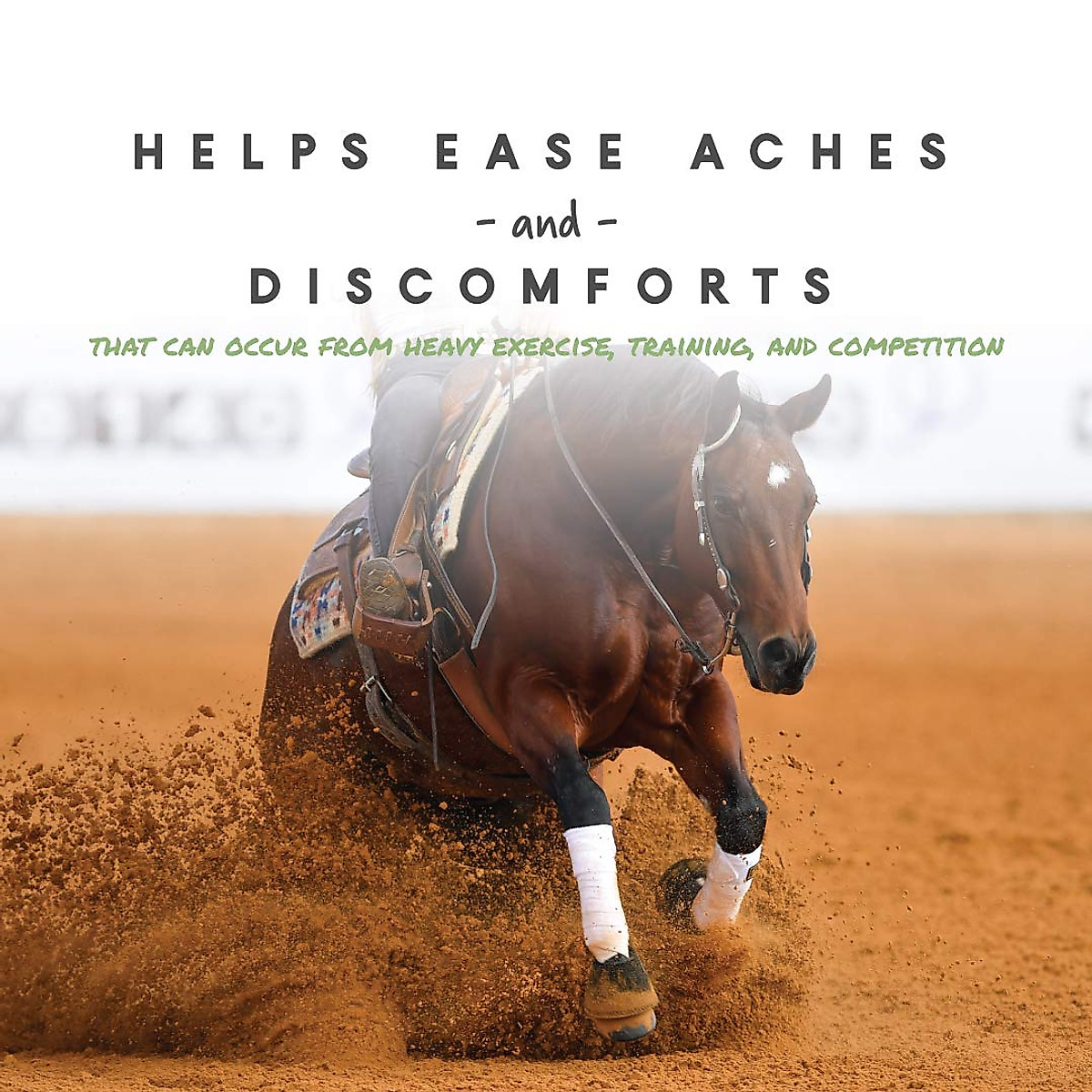 Manna Pro Cetyl-M Joint Supplement for Horses - Powered by Omega 5 Fatty Acids - 11.2 lb