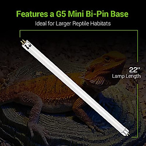 2 Pack 24W-Watt T5 HO Reptile Light Desert UVA UVB 10.0 Fluorescent Tube - 22" Terrarium Hood Light Suitable for Desert Reptile Lizards Bearded Dragons & Promotes Natural Behavior UVB Bulb (22Inch)