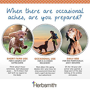Herbsmith Comfort Aches – Herbal Pain Relief for Dogs + Cats – for Pet Aches + Pains – Anti-Inflammatory Supplement – 20 Tablets