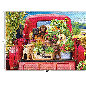 RoseArt - Kodak Premium - Stowaways - 1000 Piece Jigsaw Puzzle for Adults