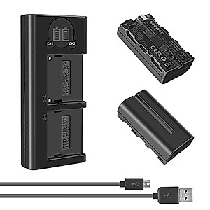 Neewer NP-F550 Battery Charger Set for Sony NP-F970 F750 F960 F530 F570 CCD-SC55 TR516 TR716 and More (2-Pack 2600 mAh Replacement Camera Batteries, Micro USB and Type-C Input Dual Charger)