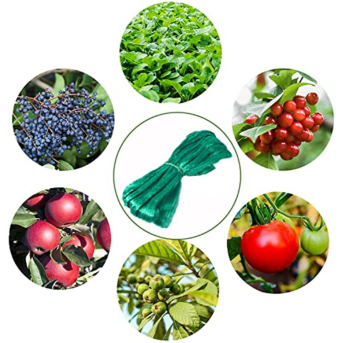 CandyHome Bird Netting for Garden,13Ft x 33Ft Reusable Garden Netting Plants Barrier, Plant Netting Mesh Net Protect Fruit Trees Seedlings Plants from Birds, Squirrels, Cicadas,Rodents